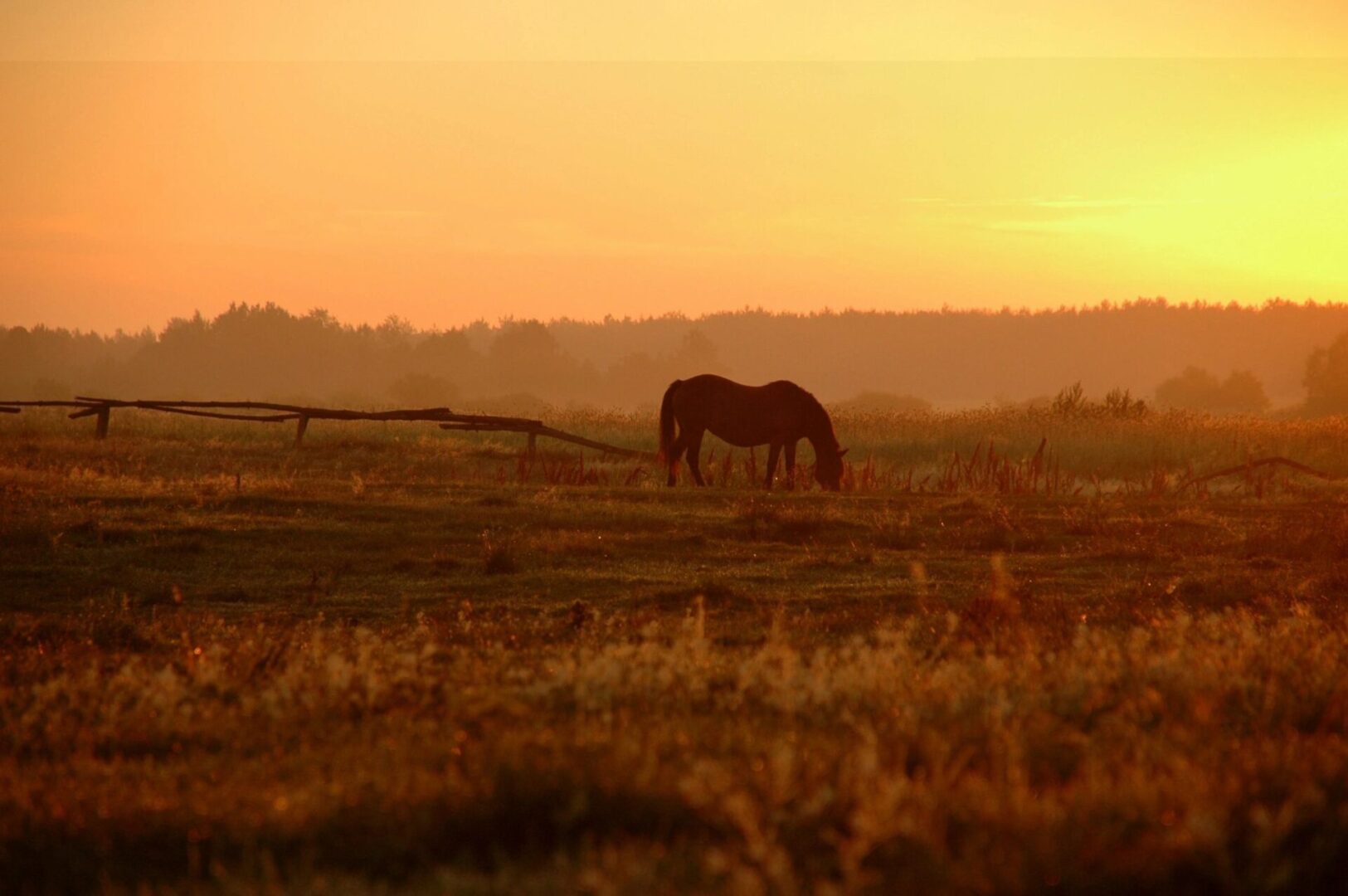 Home - Finest Real Estate Services - Street Real Estate