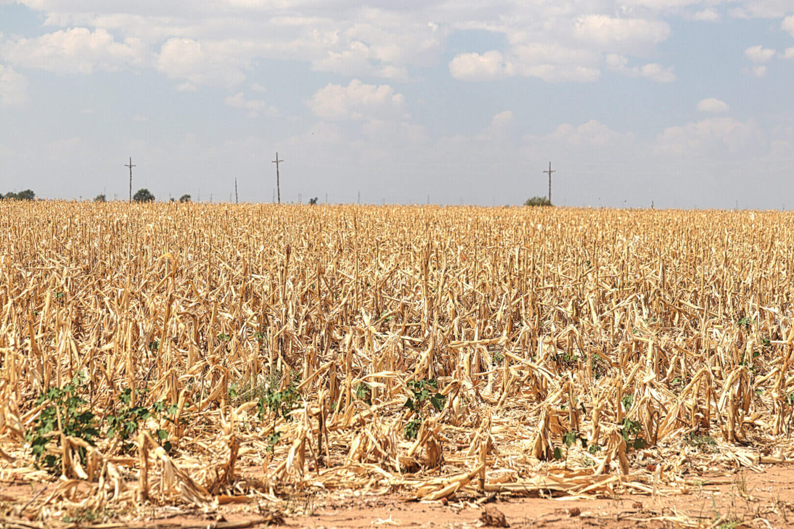 Land - View Our Property Listings at Street Real Estate